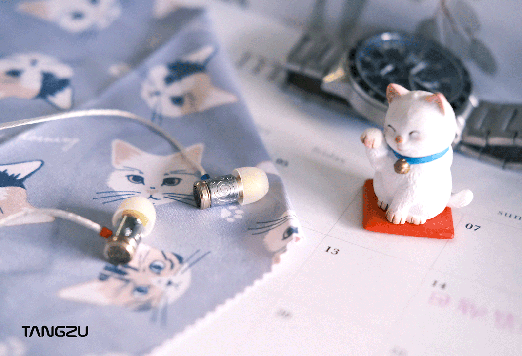 TANGZU Princess Changle Hifi in Ear Micro Dynamic Earphone