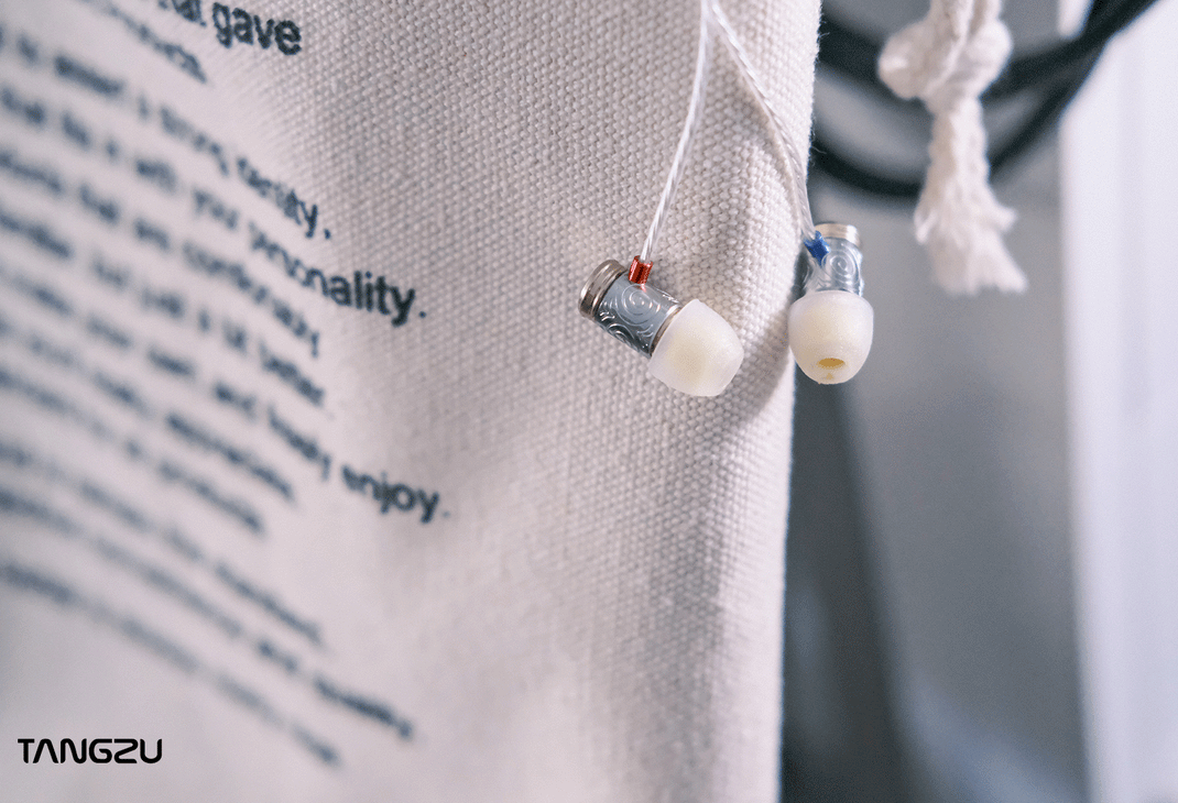 TANGZU Princess Changle Hifi in Ear Micro Dynamic Earphone
