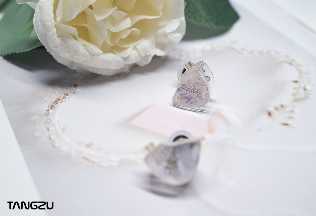 TANGZU WAN ER SG Hifi in Ear New 10mm Dynamic Driver Earphone